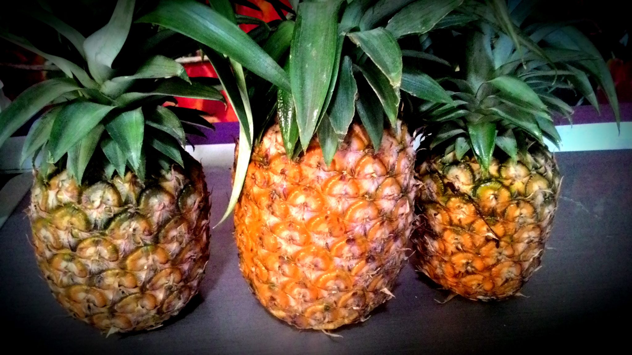 Pineapple, Pineapple, Pineapple! – Shellcreeper.com